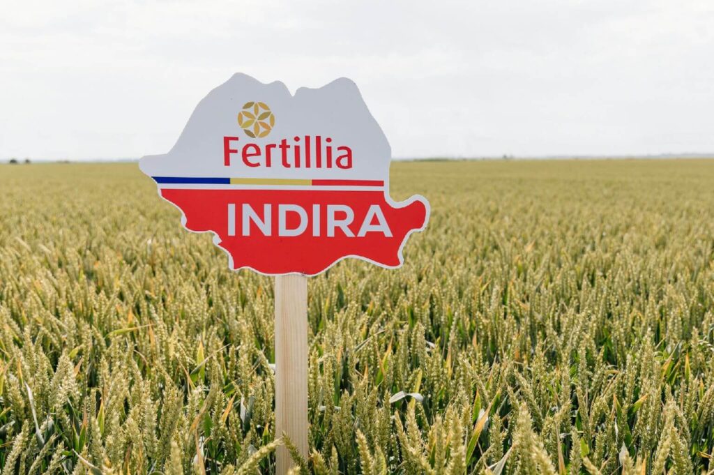 Indira_n - Fertillia